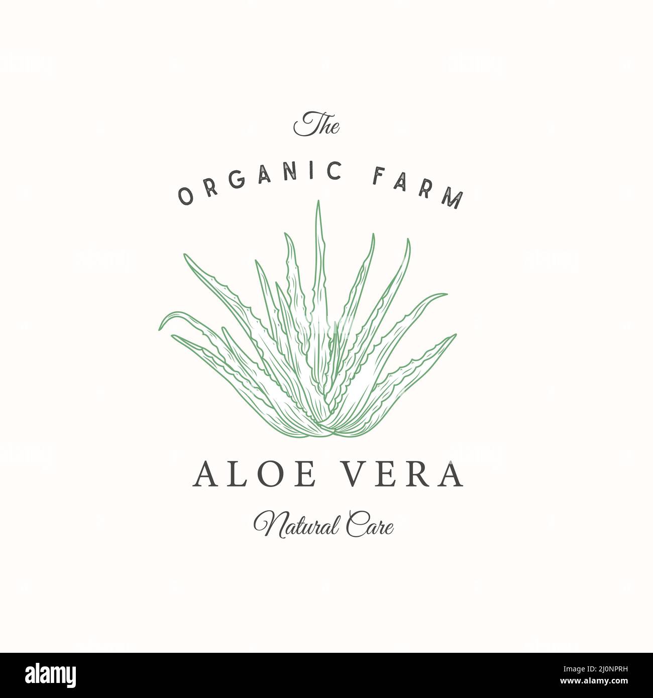 Aloe Vera Abstract Vector Sign, Symbol or Logo Template. Elegant Hand ...
