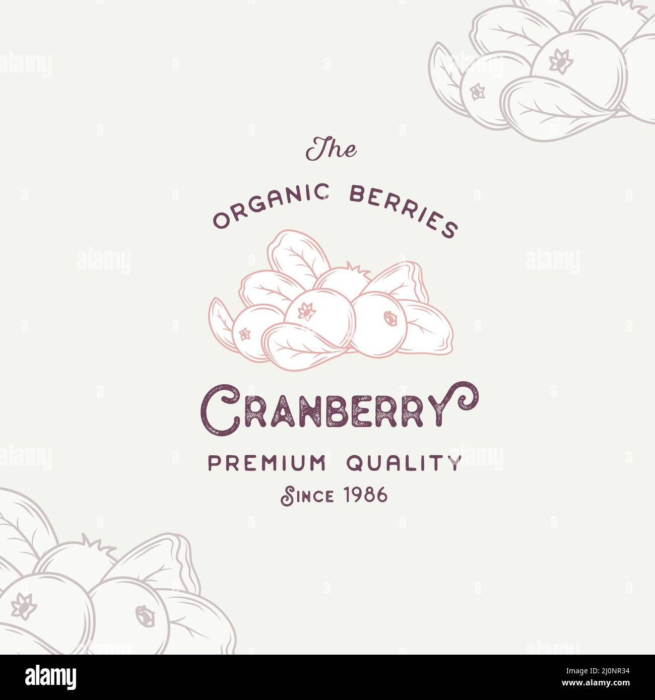 Cranberry Label. Abstract Vector Packaging Design Layout. Modern ...