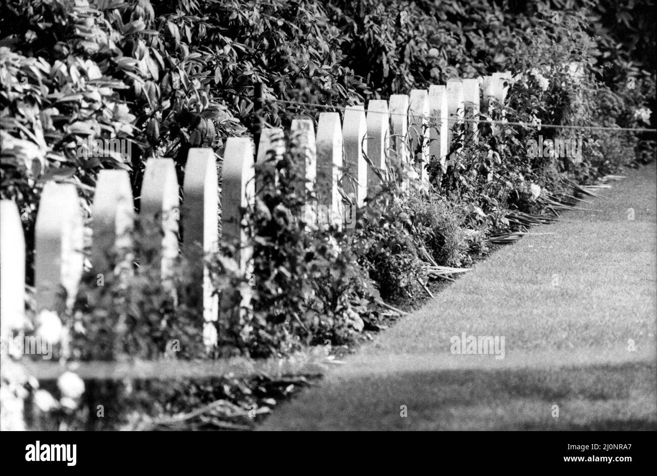 World War Two - Second World War - Operation Market Garden - Polish war ...