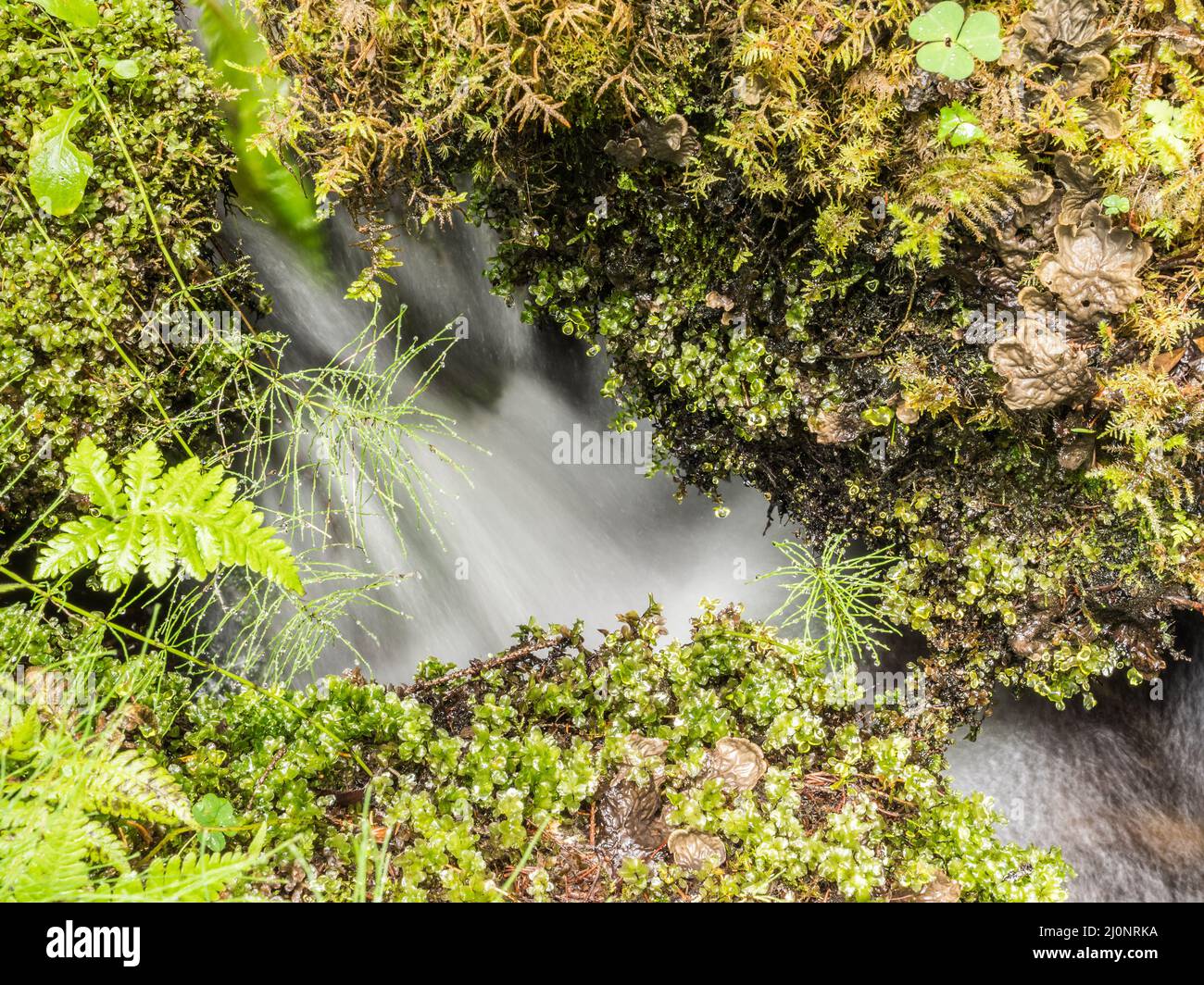 Spring water groundwater hi-res stock photography and images - Alamy
