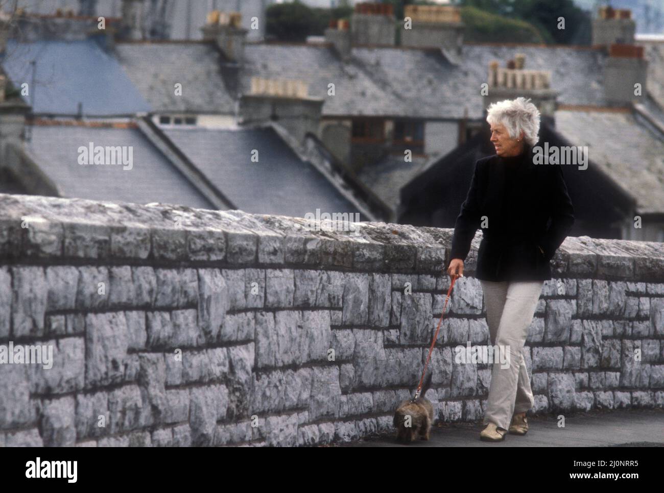 Artist Beryl Cook 1982 Stock Photo - Alamy