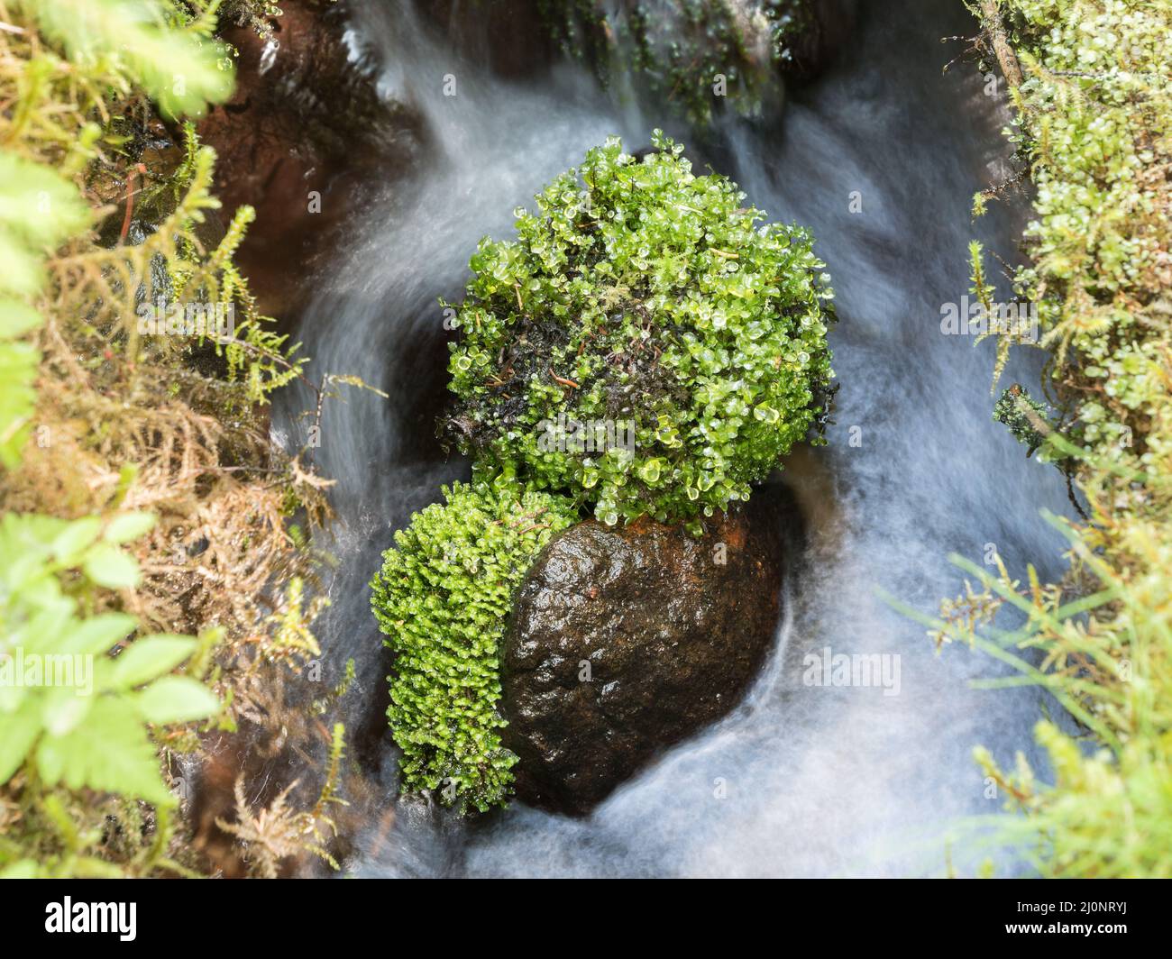 Spring water groundwater hi-res stock photography and images - Alamy