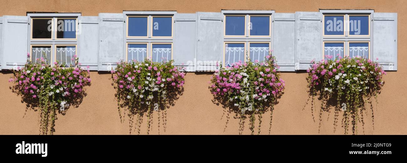 House facade with windows and flower box, Bavaria, Germany Stock Photo ...