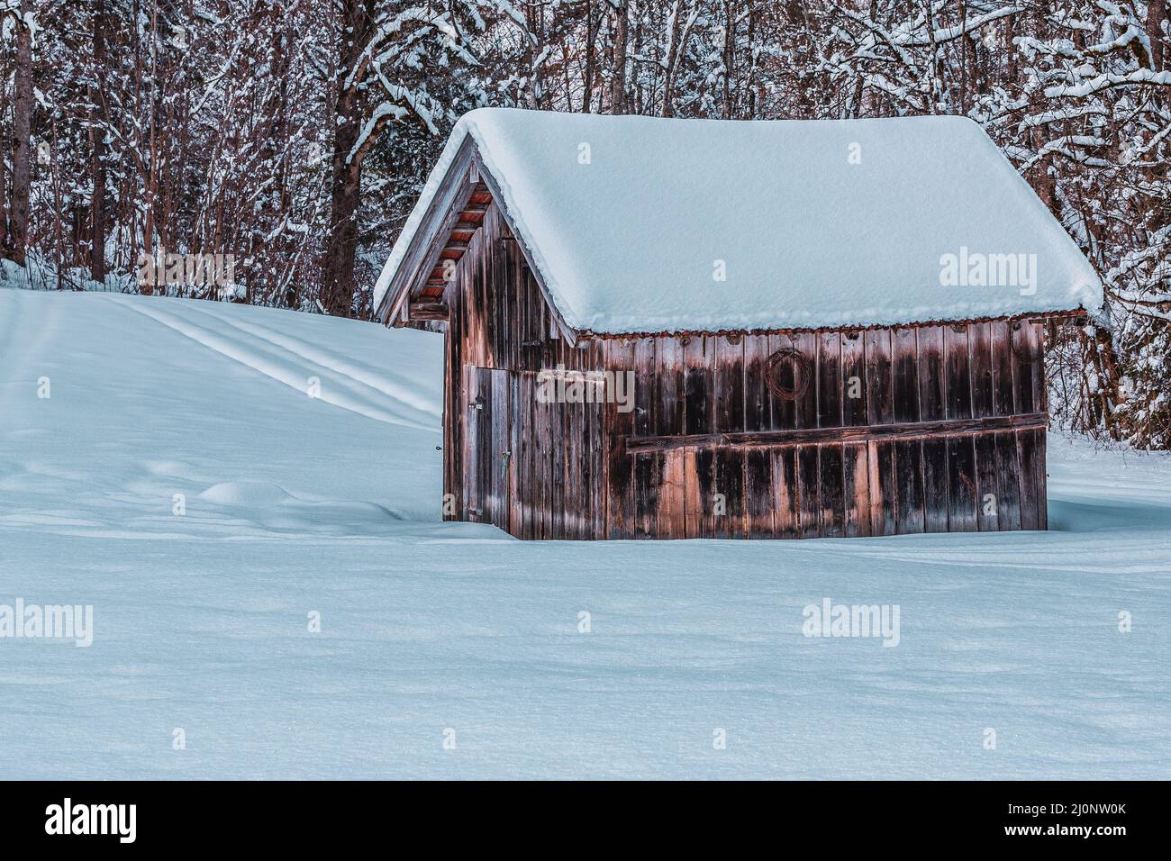 Wooden hut in a forest with snow covered trees in the alps Stock Photo ...