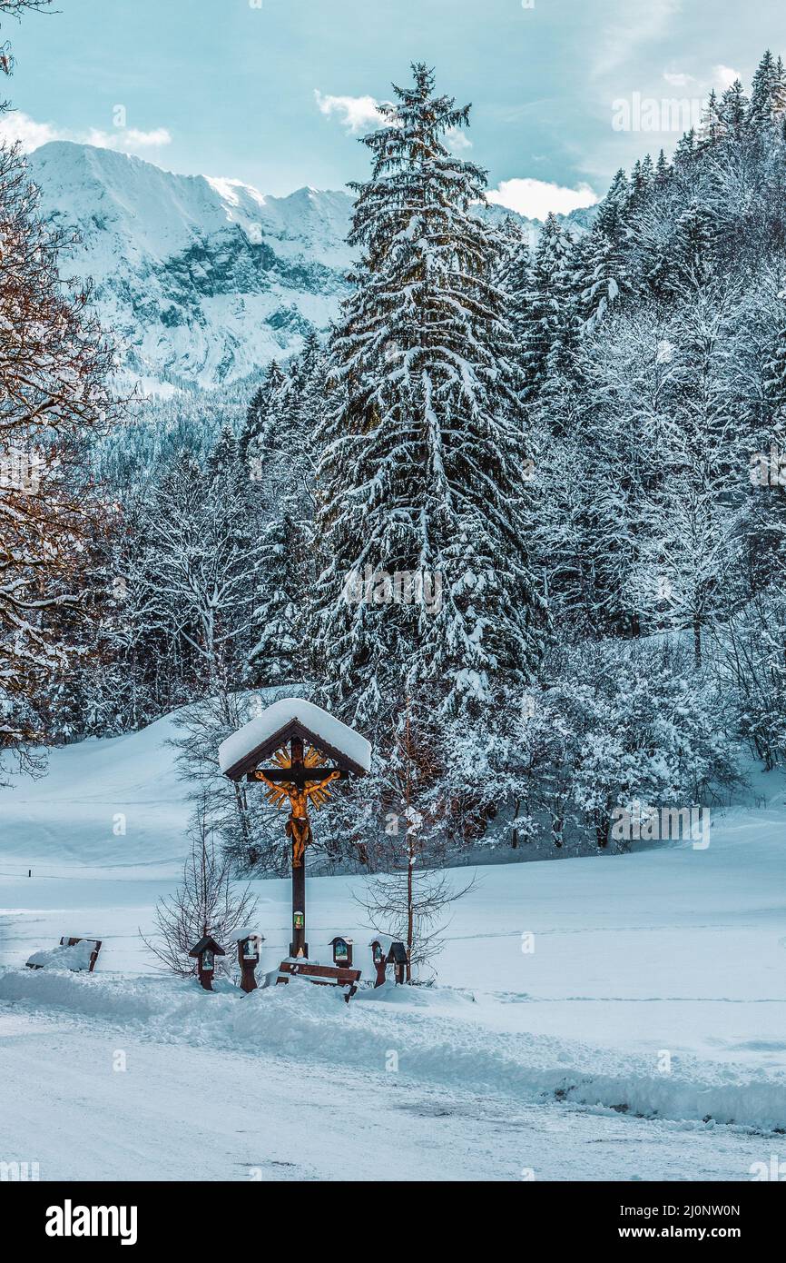 Covered with fine snow hi-res stock photography and images - Alamy