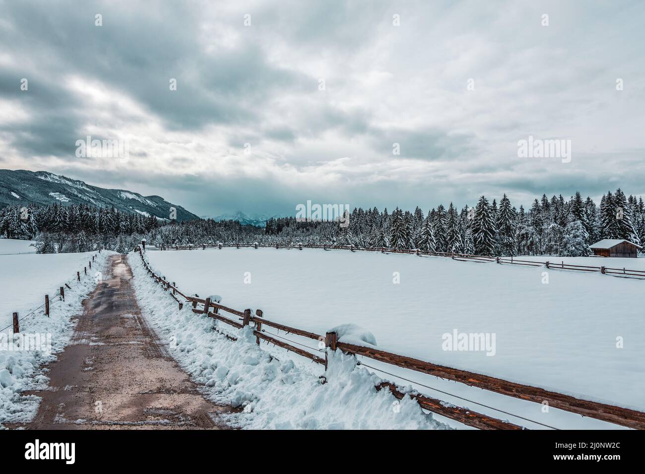 Covered with fine snow hi-res stock photography and images - Alamy