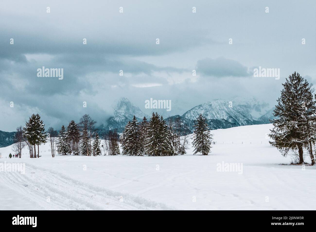 Covered with fine snow hi-res stock photography and images - Alamy