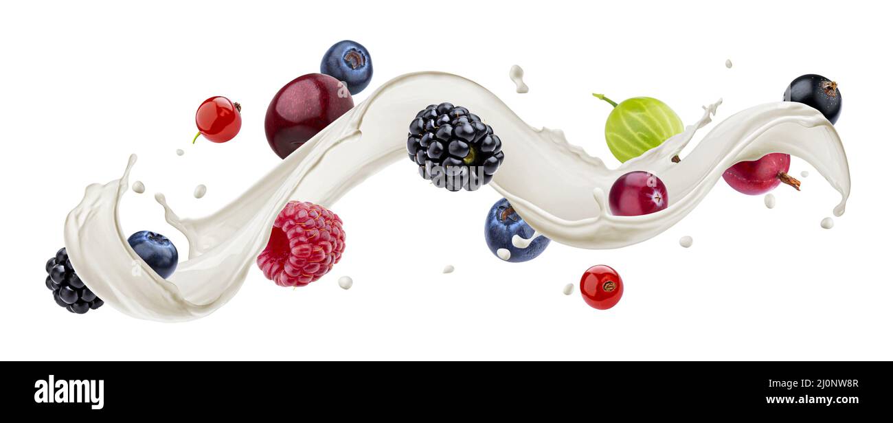 Wild berries with milk splash isolated on white background Stock Photo ...