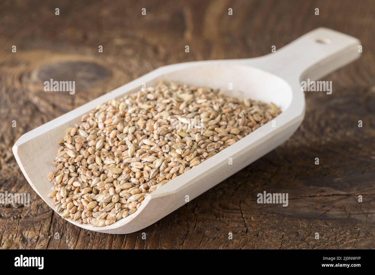 Barley milk hi-res stock photography and images - Alamy