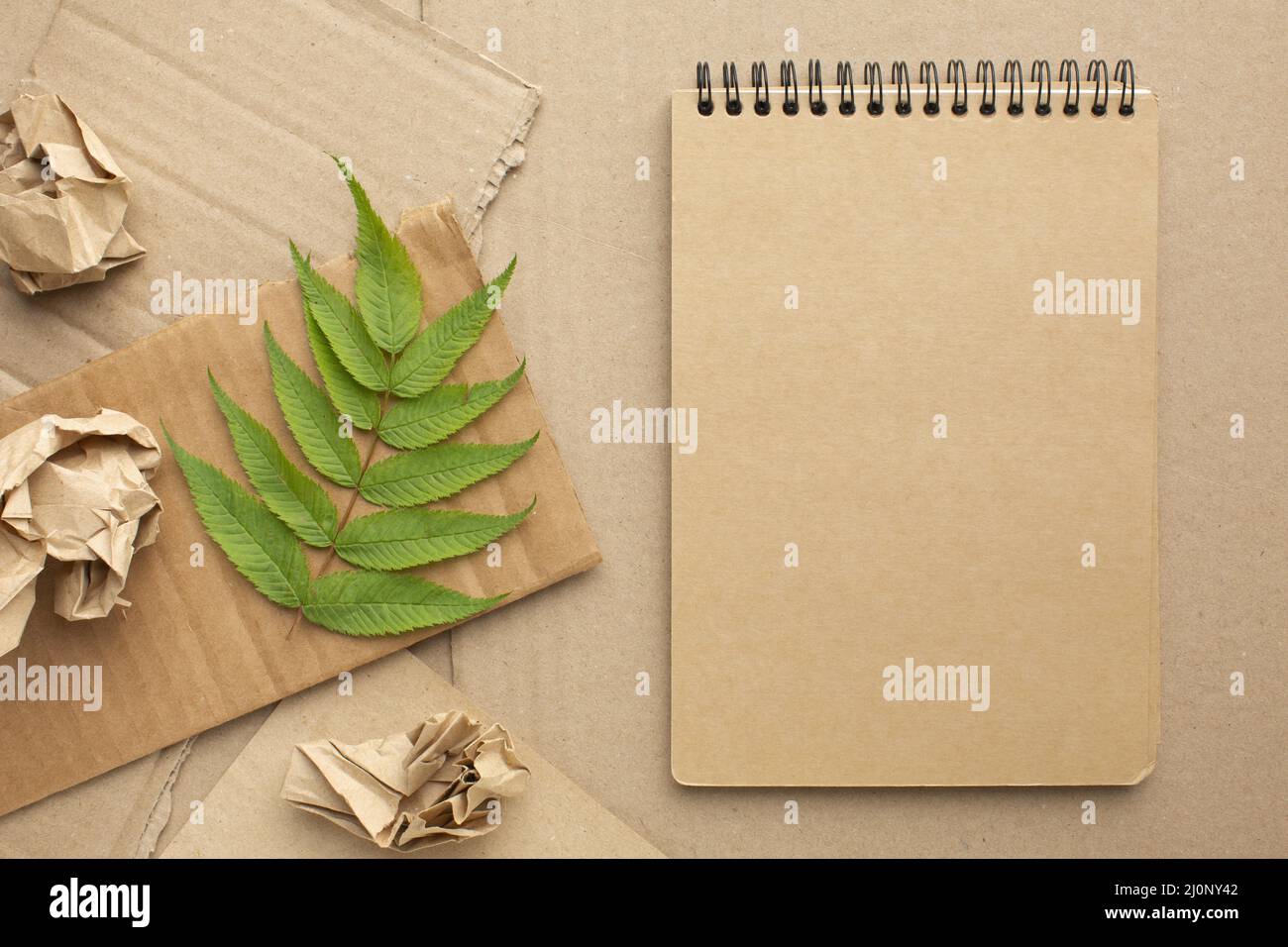 Notebook ecological . High quality and resolution beautiful photo ...