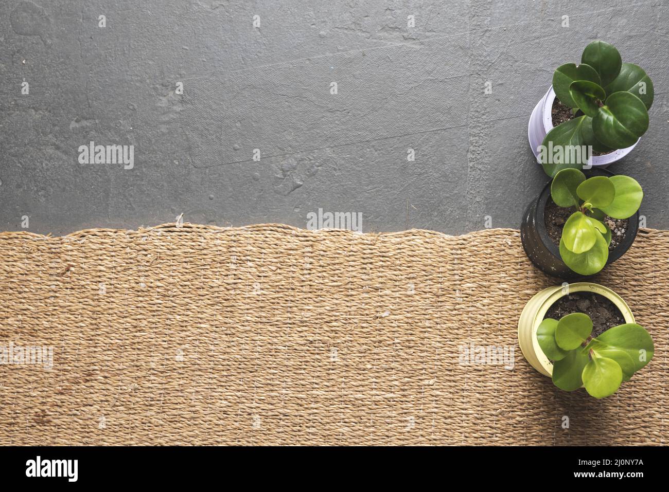 High resolution growth concept hi-res stock photography and images - Alamy