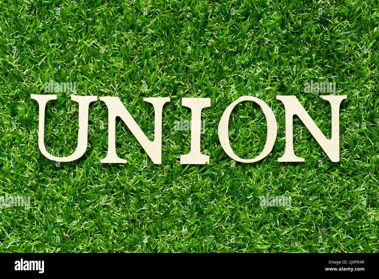 Wood letter in word union on green grass background Stock Photo - Alamy