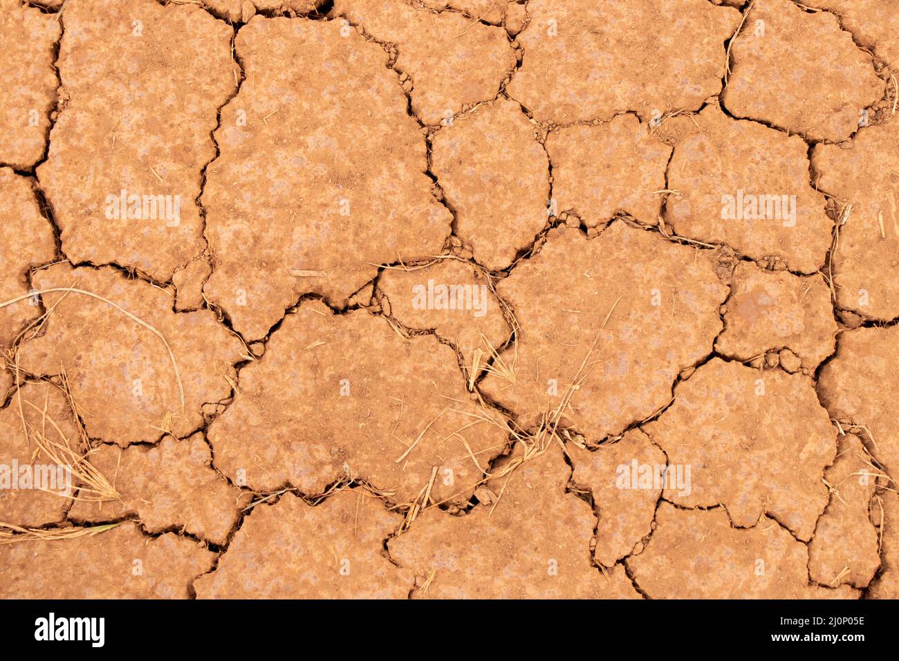 Cracked dry brown soil texture background, concept for global warming ...
