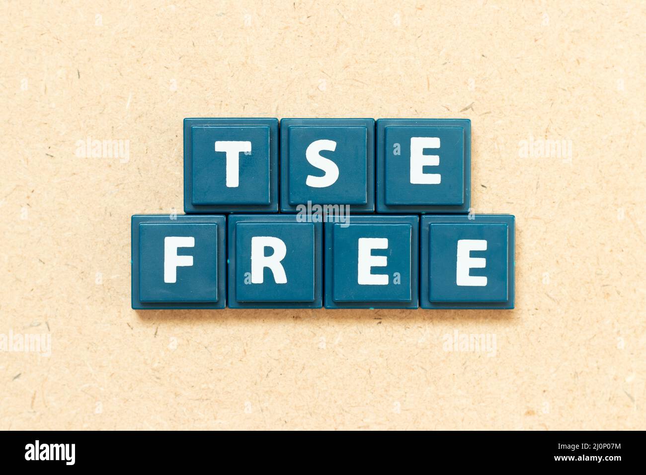 Tile alphabet letter in word TSE (Transmissible Spongiform ...