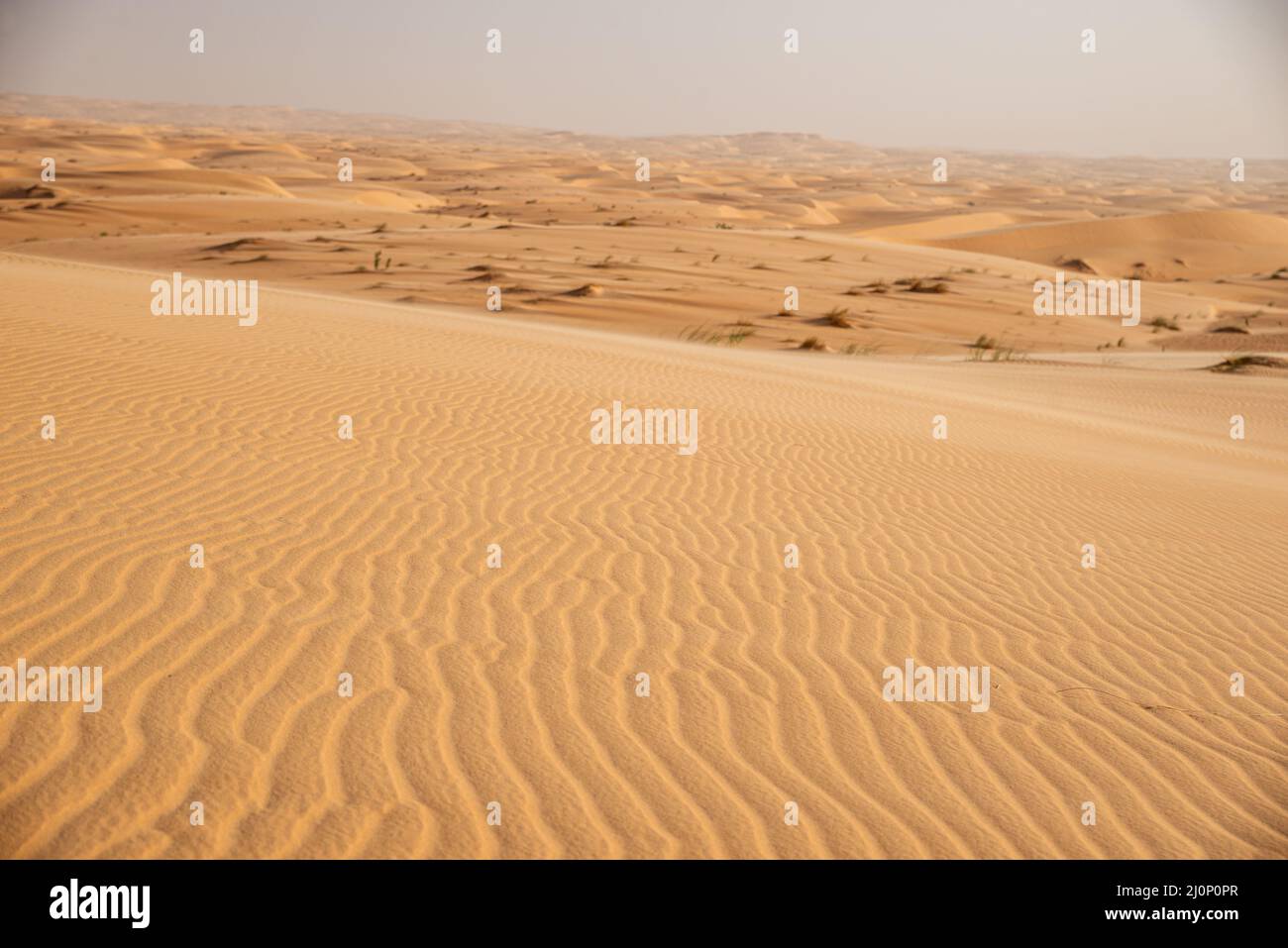 Huge yellowish/orange sand dunes on the track to Chinguetti, Mauritania ...
