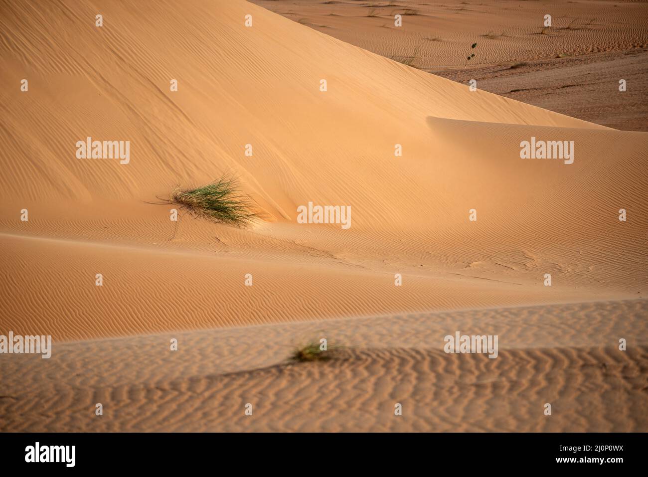 Huge yellowish/orange sand dunes on the track to Chinguetti, Mauritania ...
