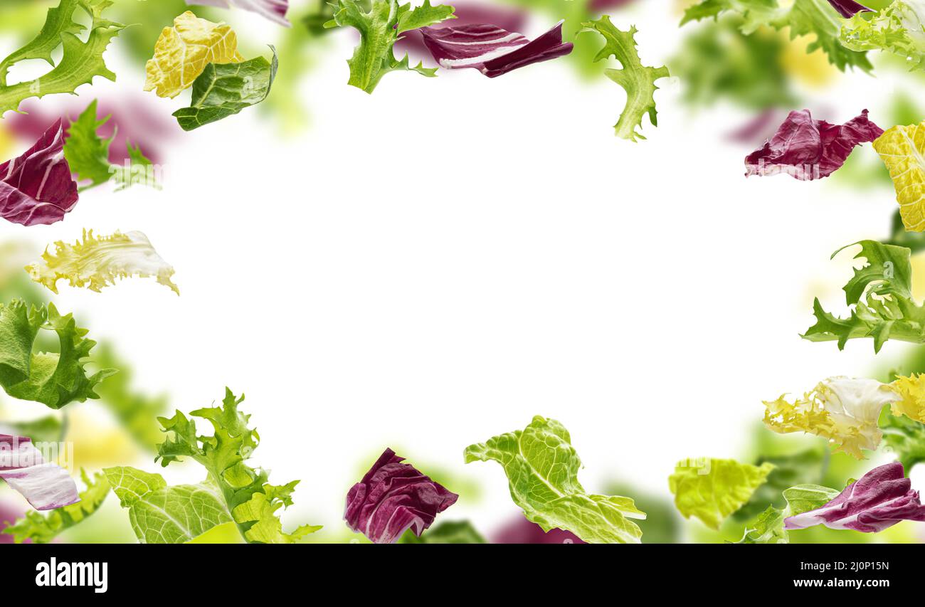 Healthy food background, frame of salad leaves Stock Photo - Alamy