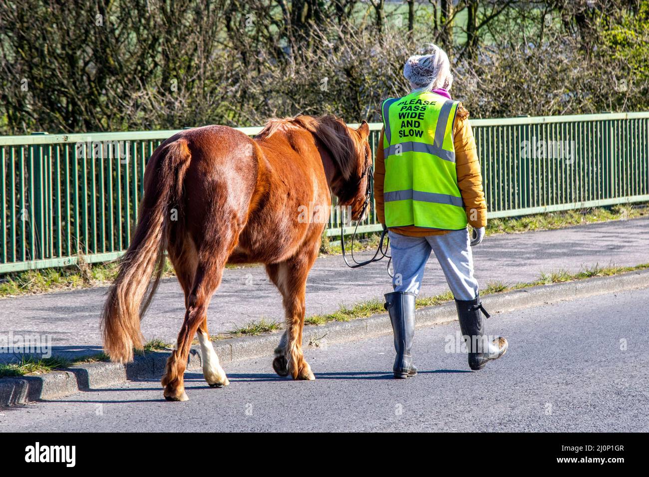 Woman walking with horses on country road wearing high visibility ...