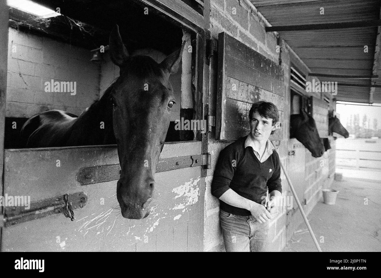 Racehorse Sea Pigeon at Malton stables with owners son Steven Muldoon ...