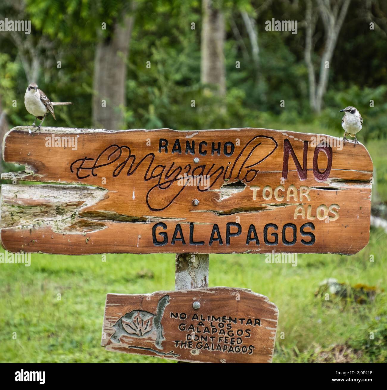 Sign post to the giant Galapagos tortoises, Isla Santa Cruz, Galapagos ...