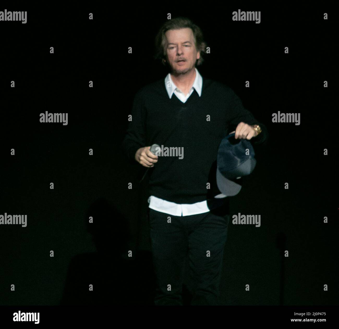 Actor, stand-up comedian, television host, and writer David Spade ...