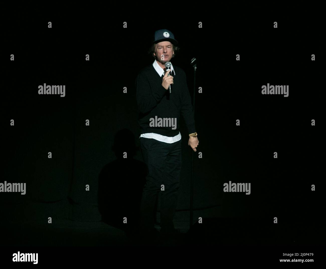 Actor, stand-up comedian, television host, and writer David Spade ...