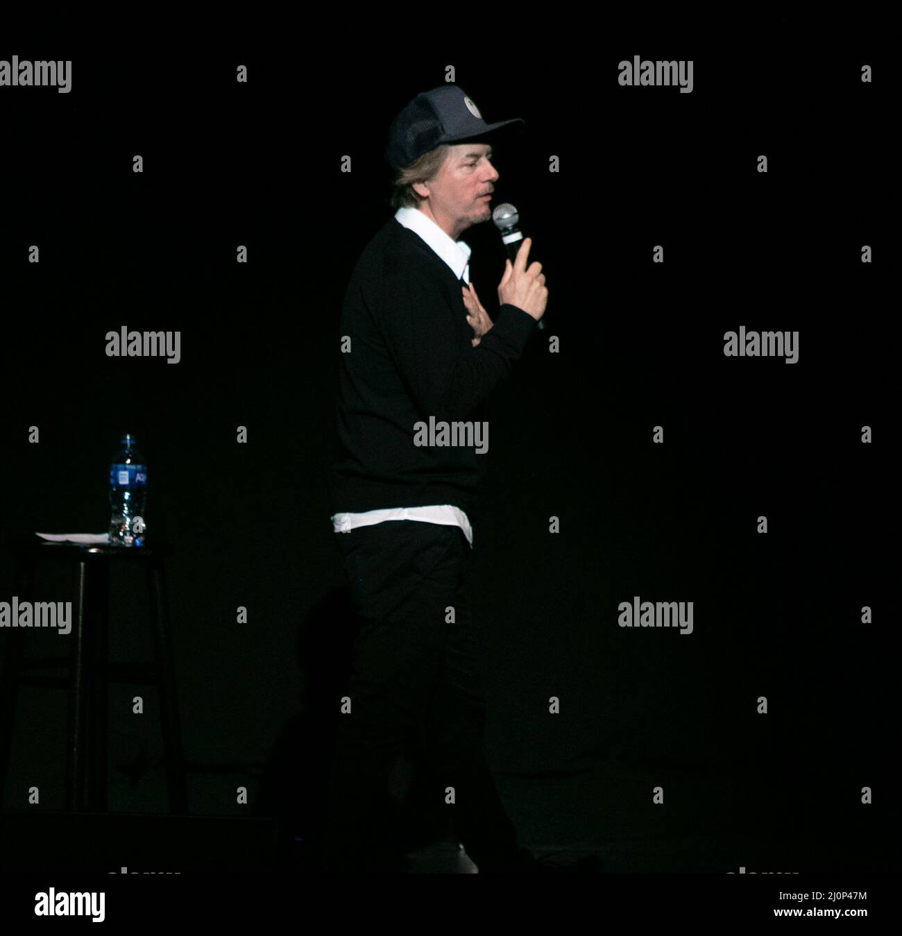 Actor, stand-up comedian, television host, and writer David Spade ...