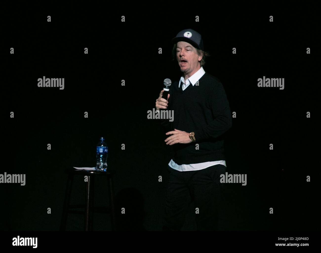 Actor, stand-up comedian, television host, and writer David Spade ...