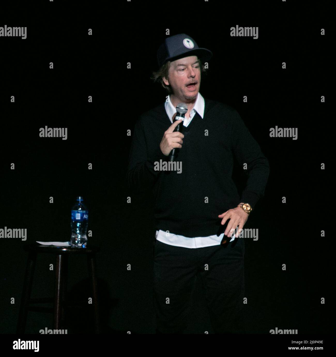 Actor, stand-up comedian, television host, and writer David Spade ...