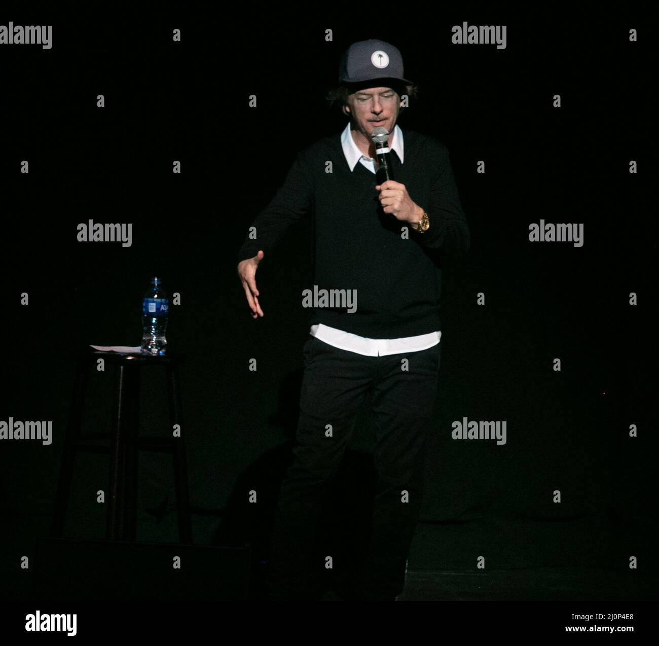 Actor, stand-up comedian, television host, and writer David Spade ...