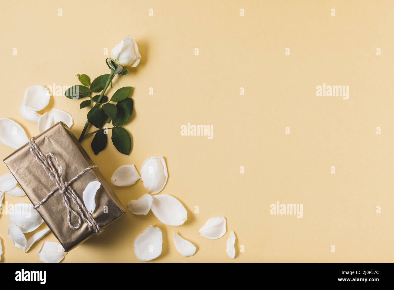 Present with rose petals copy space . High quality and resolution ...