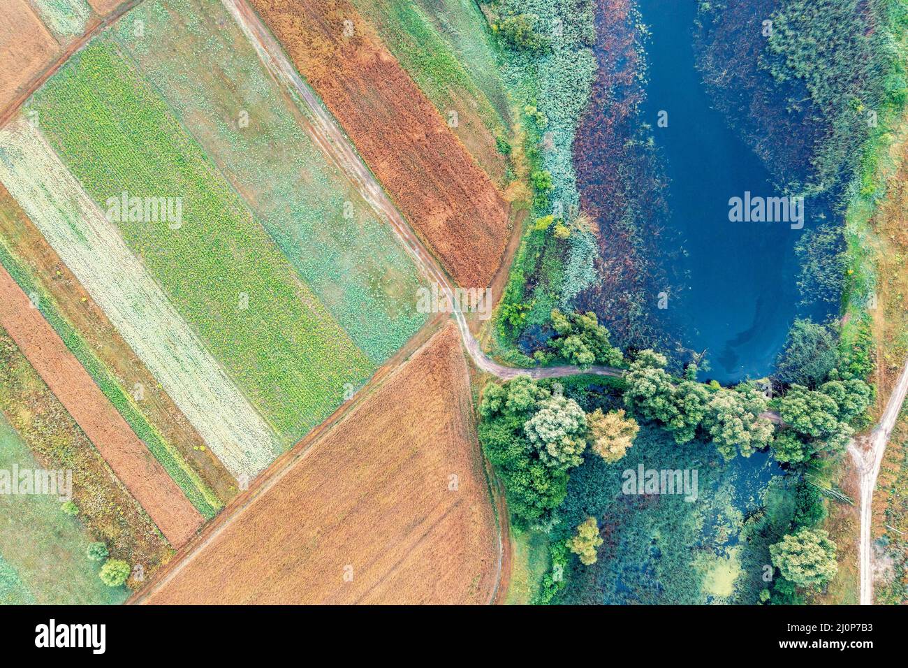 Top view of arable fields and winding stream. The countryside in summer ...
