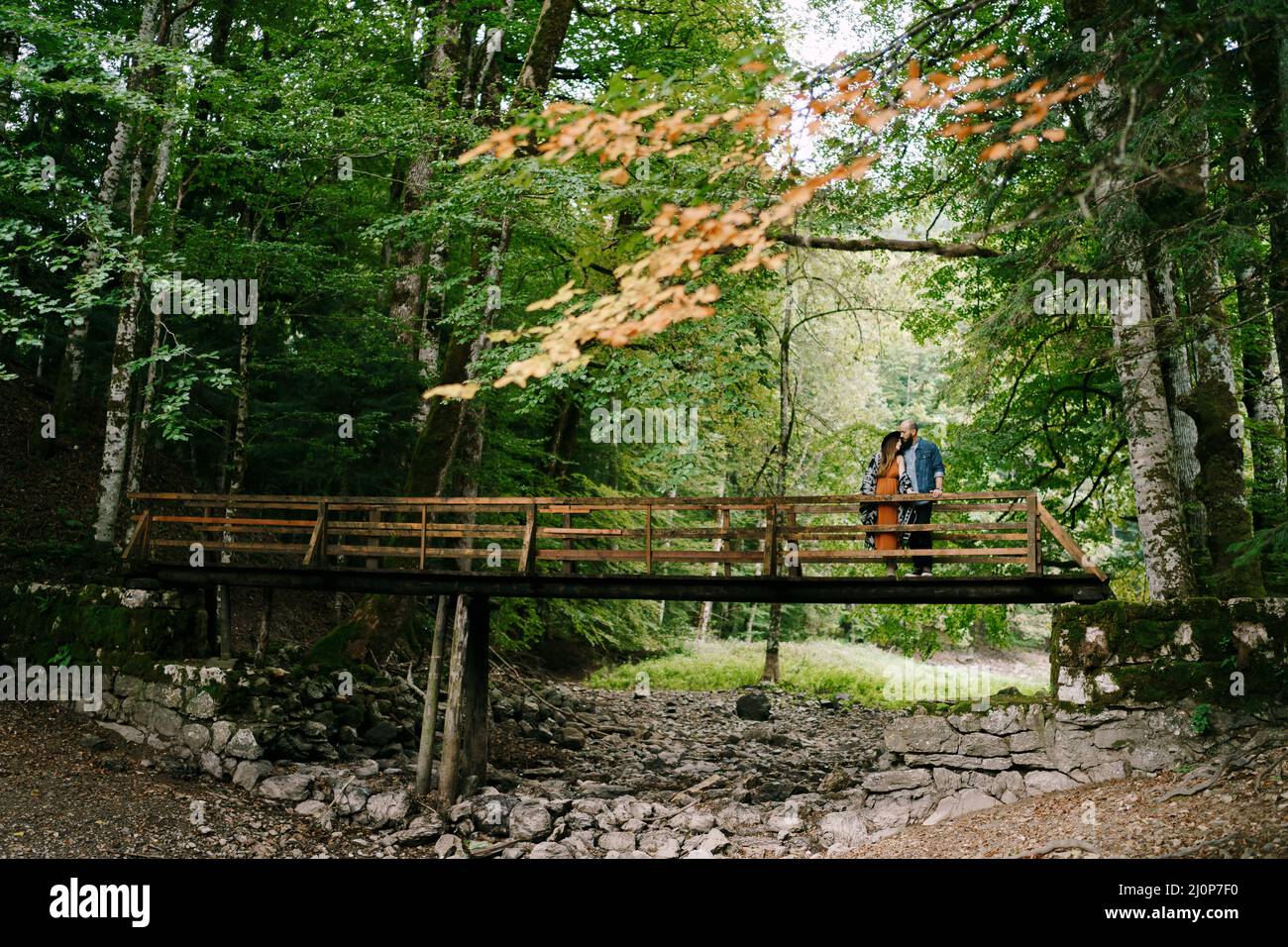 Bridge among trees hi-res stock photography and images - Alamy