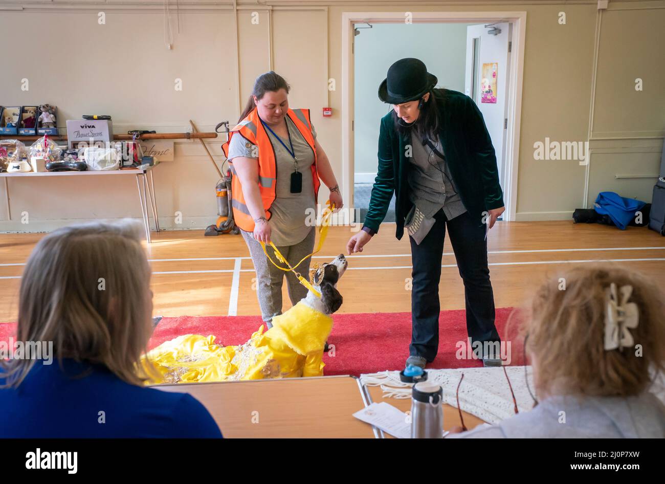 A dog is judged during the Hollywood (A day at the Oscar's) themed ...