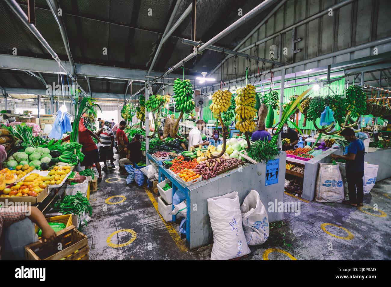 Tropical fruits in maldives island hi-res stock photography and images ...
