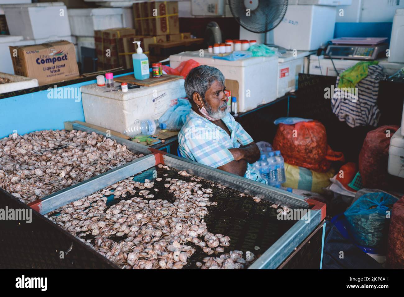 Local Man selling Dried Traditional Maldivian Betel Nut on the ...