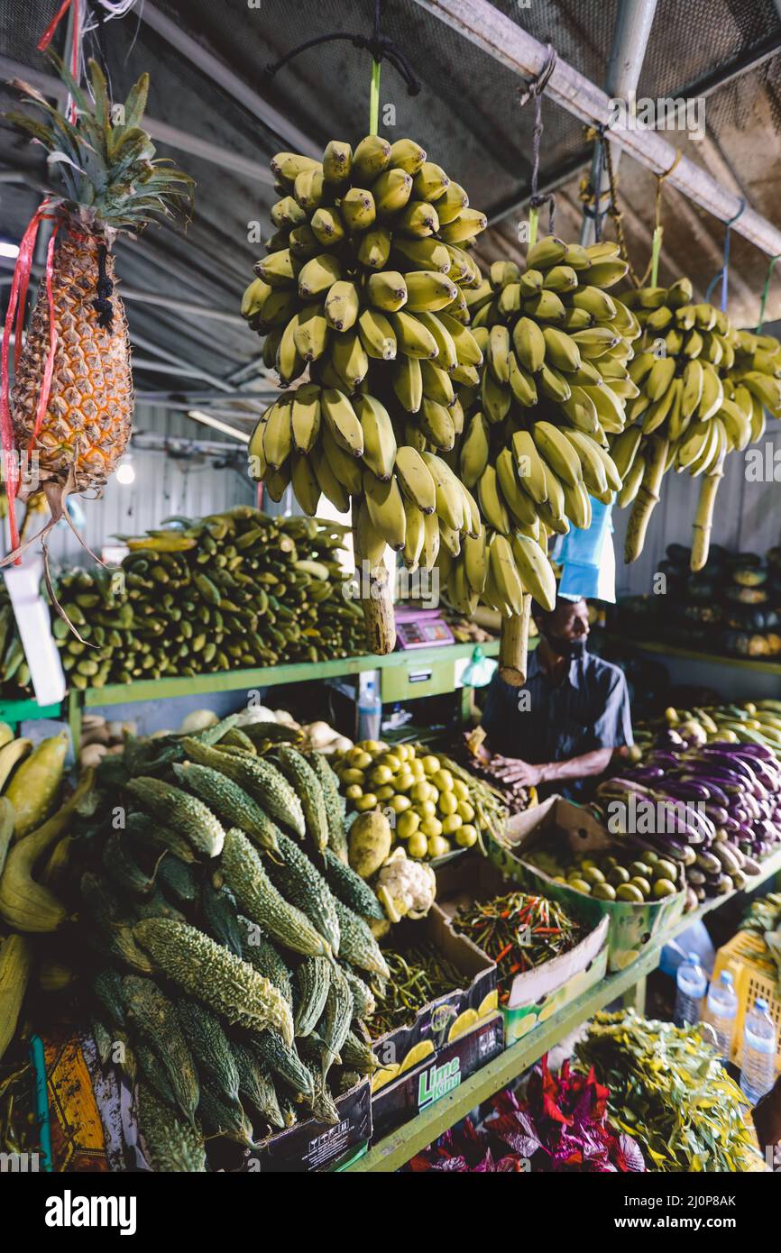 Tropical fruits in maldives island hi-res stock photography and images ...