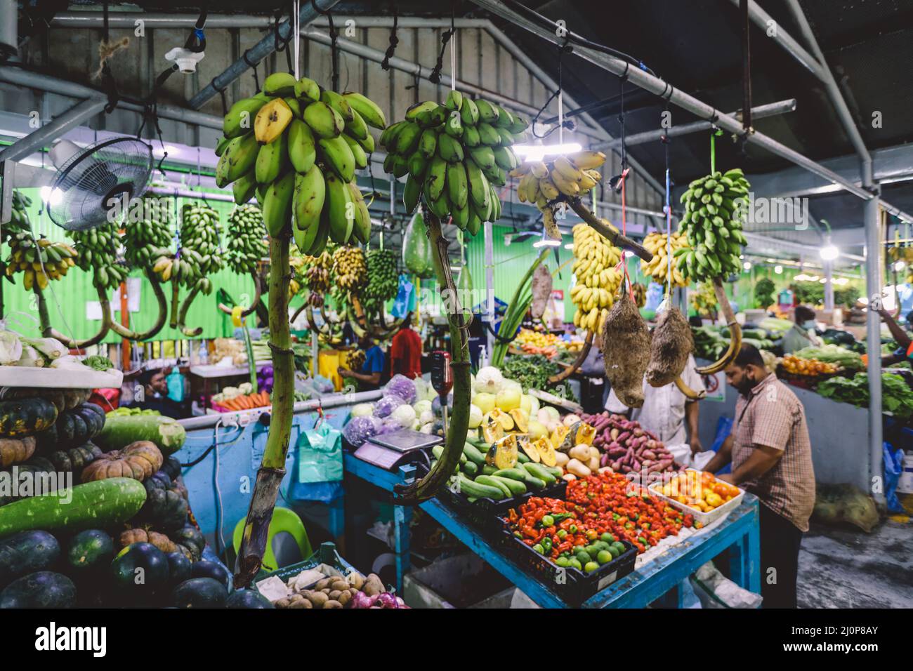 Tropical fruits in maldives island hi-res stock photography and images ...