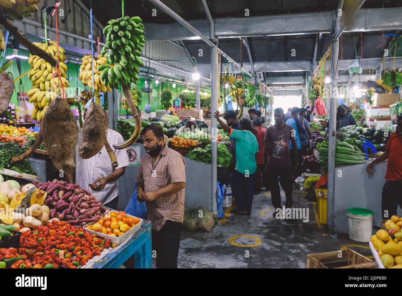 Tropical fruits in maldives island hi-res stock photography and images ...
