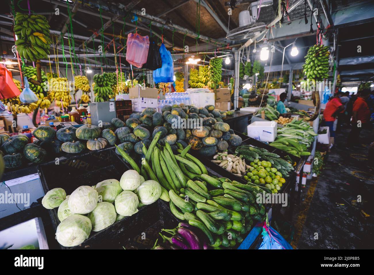 Tropical fruits in maldives island hi-res stock photography and images ...