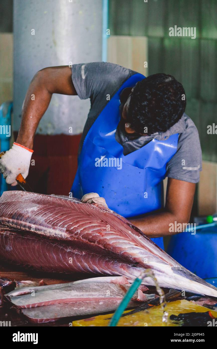 Local Maldivian Fisherman butcher a Big Tuna Fish on the Central Market ...