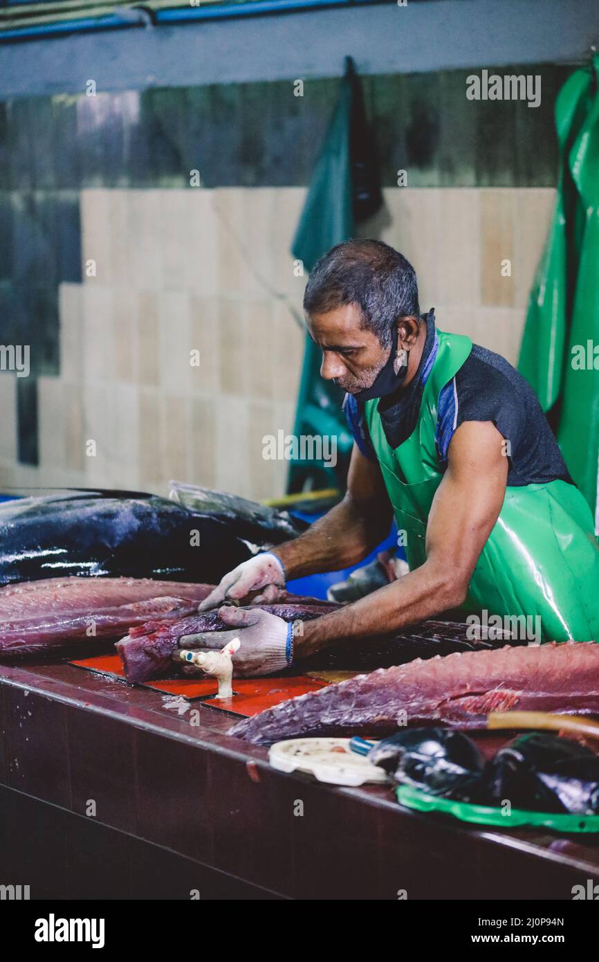 Local Maldivian Fisherman butcher a Big Tuna Fish on the Central Market ...