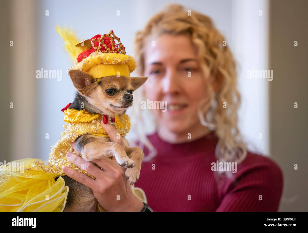 Mandy Corbett holds her Chihuahua Lindy Lou who is modeling a design ...