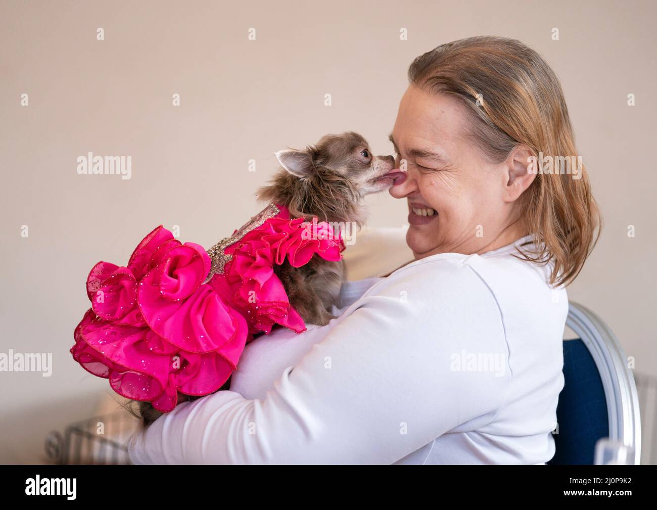 June Hodgkins laughs as her long coat Chihuahua Genevieve Catalaya ...