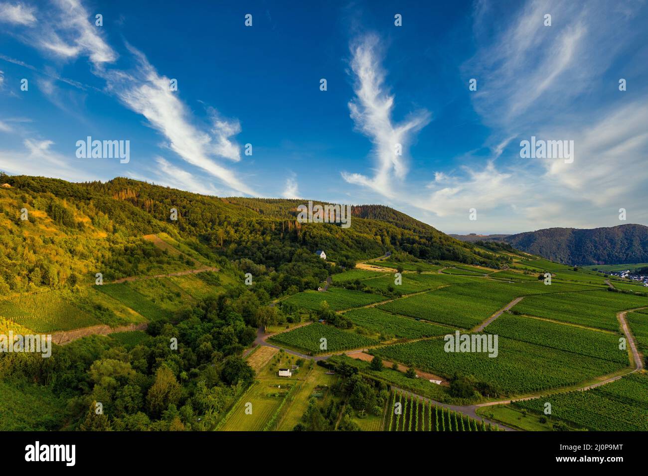 Aerial shot green vineyards hi-res stock photography and images - Alamy