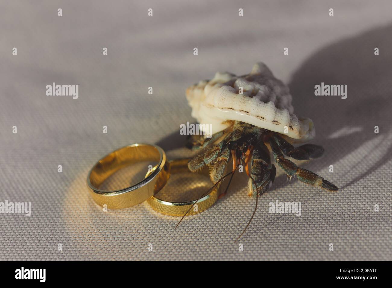 Crab wedding | Honestweddingadvice.com