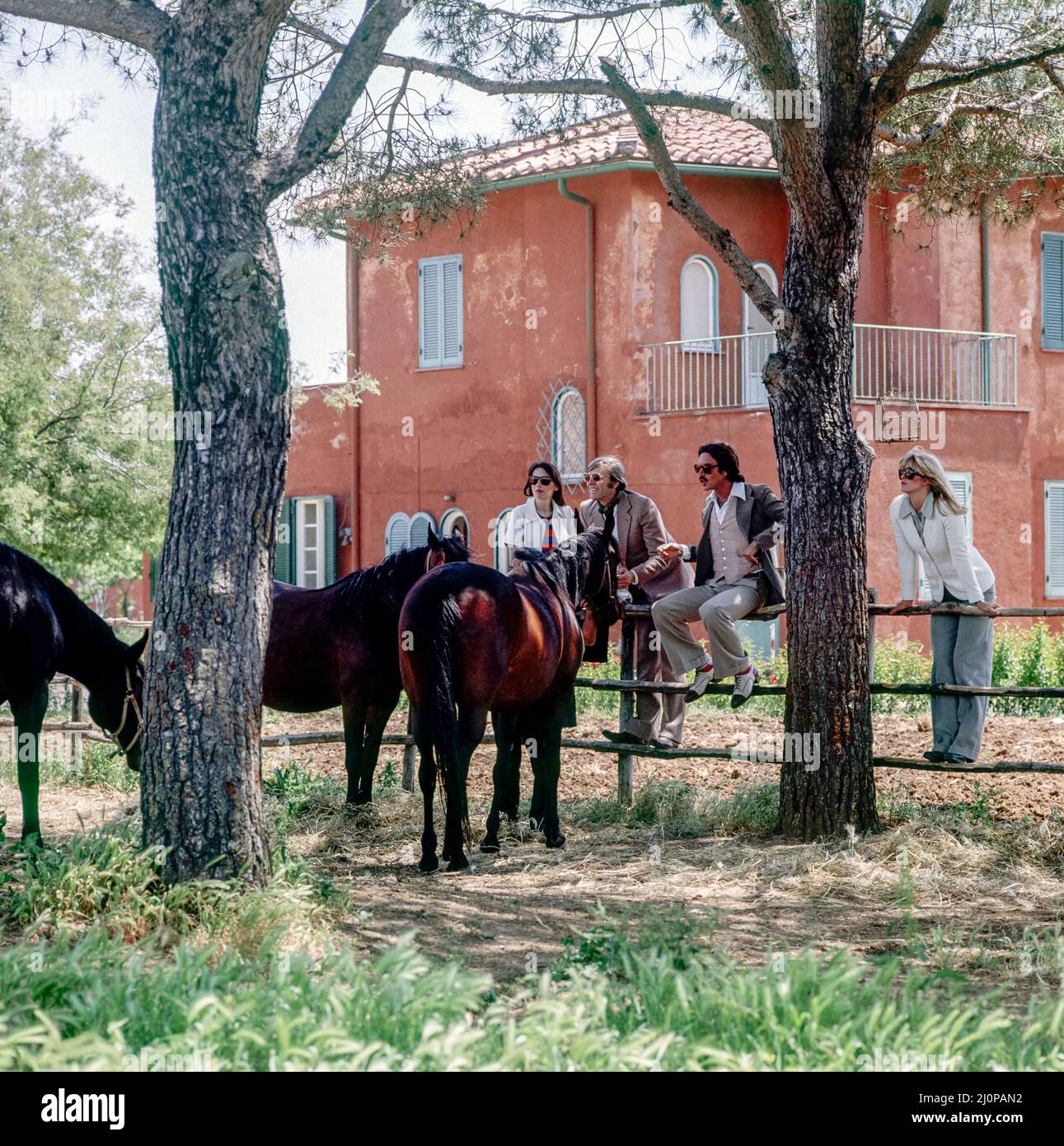 Vintage Italy 1970s, 2 couples of friends visit horse breeding, sitting ...