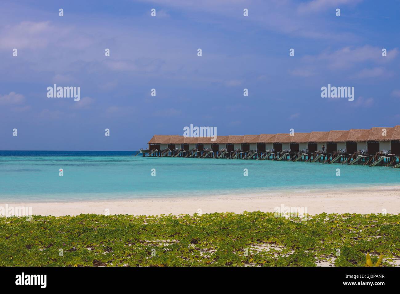 Luxury Seaside View to the Maldivian Ocean Villas in the Heart of ...