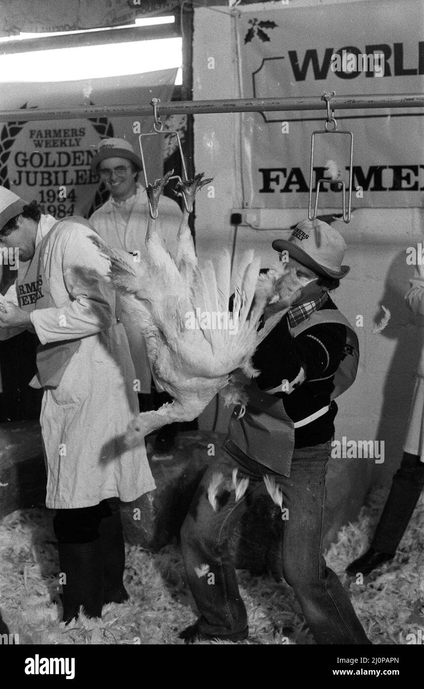 Turkey plucking hi-res stock photography and images - Alamy