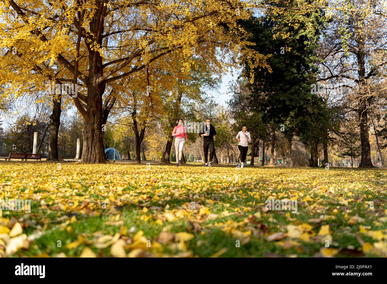 Man woman running towards camera hi-res stock photography and images ...